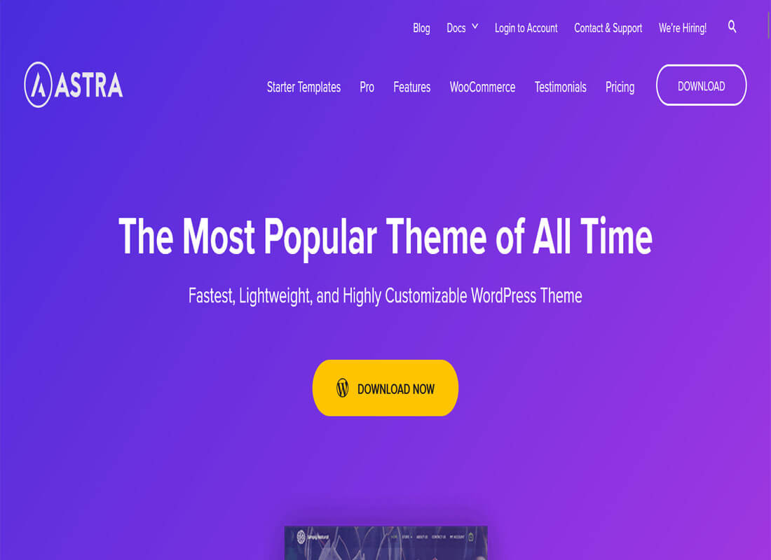 Most Popular and Best WordPress Themes in 2025 (Expert Pick ...