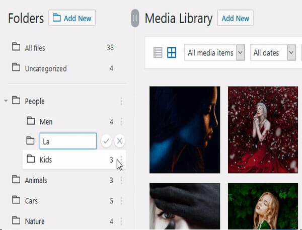 10 Best WordPress Media Library Management Plugins 2026