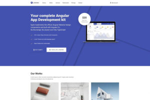 14 Best Angular Website Templates 2025 - ThemeMasterly